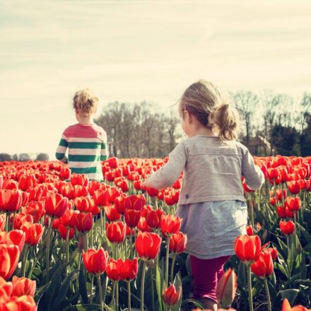 Hoe leer je je kind zelfstandig spelen? 8 bewezen tips - #1 Kinderadvies